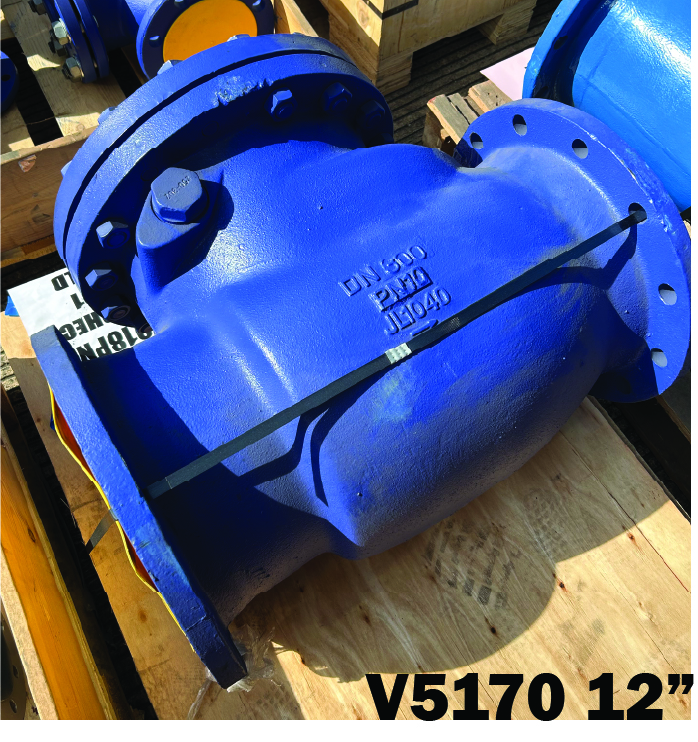 Cast Iron Swing Check Valve - Clearance - Leengate Valves